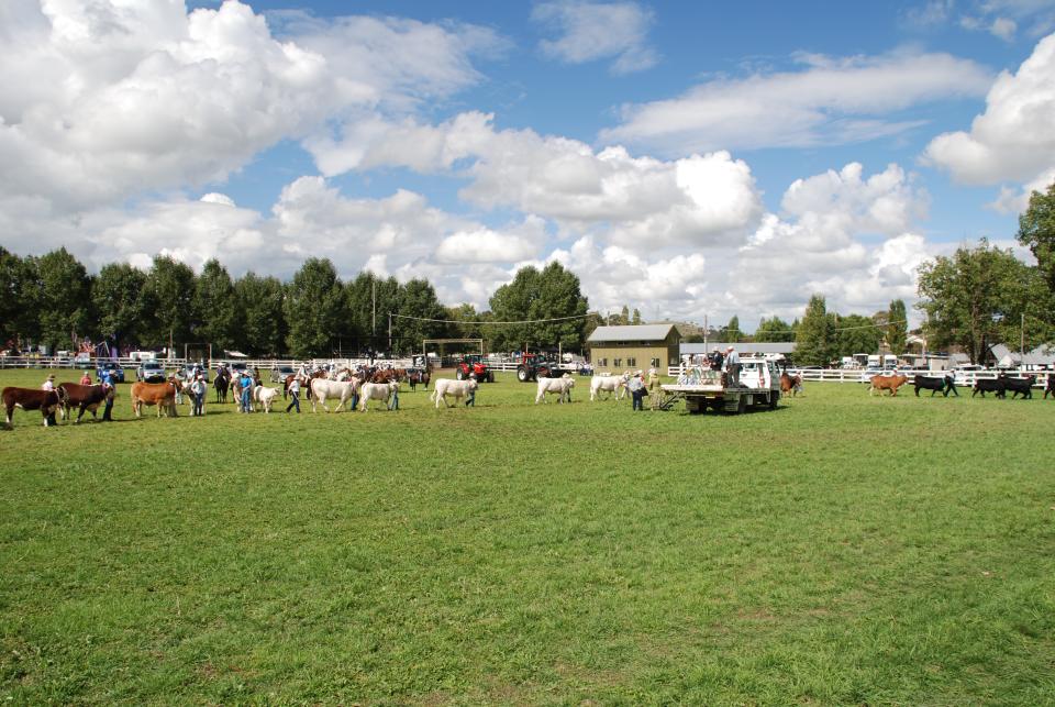 Walcha Show 2024 - Gallery